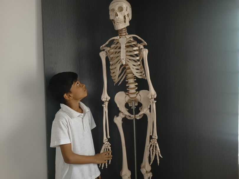 Unveiling the Marvel Within: Embracing Our Living Skeletons - CPS Global