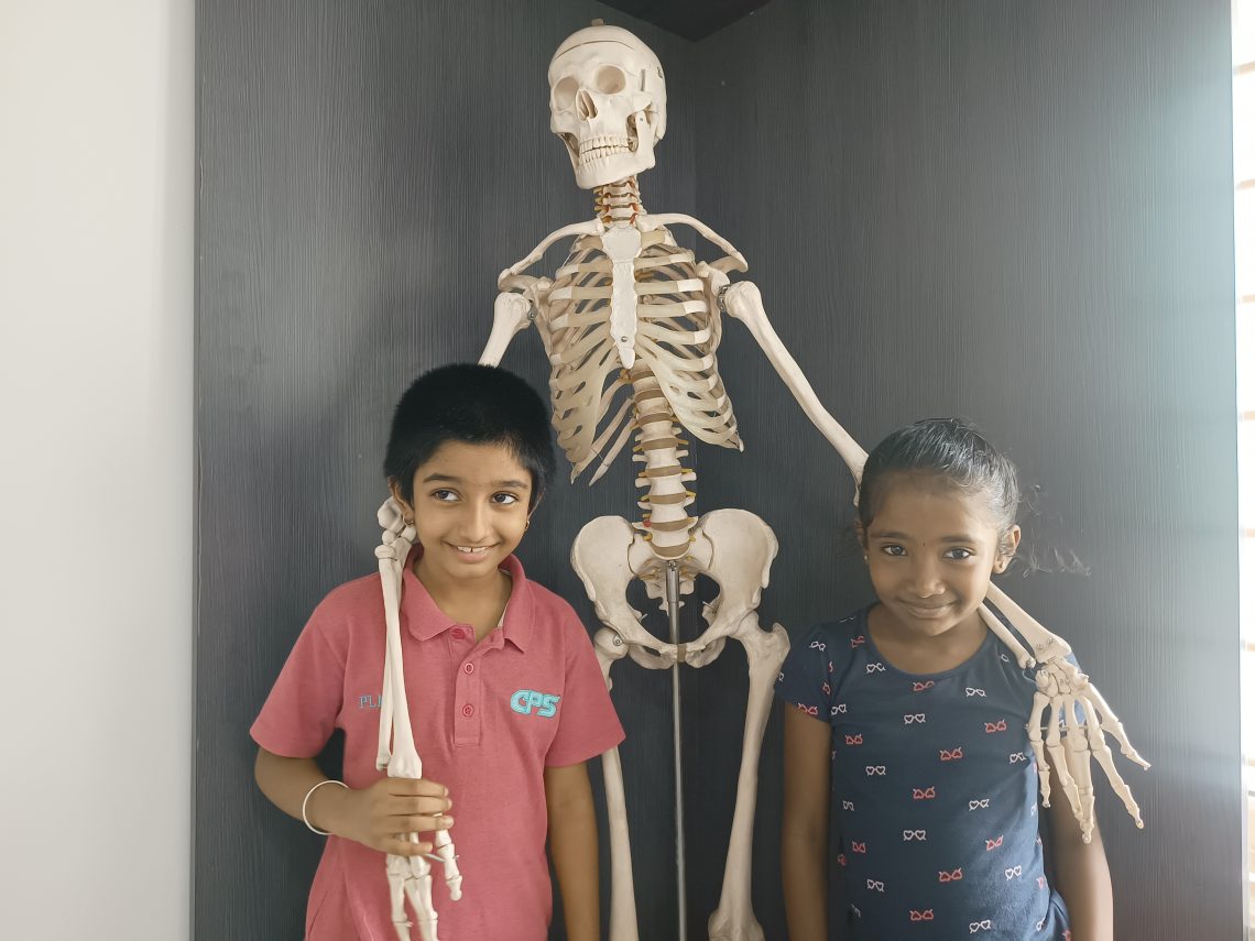 Unveiling the Marvel Within: Embracing Our Living Skeletons - CPS Global