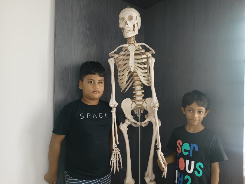 Unveiling the Marvel Within: Embracing Our Living Skeletons - CPS Global