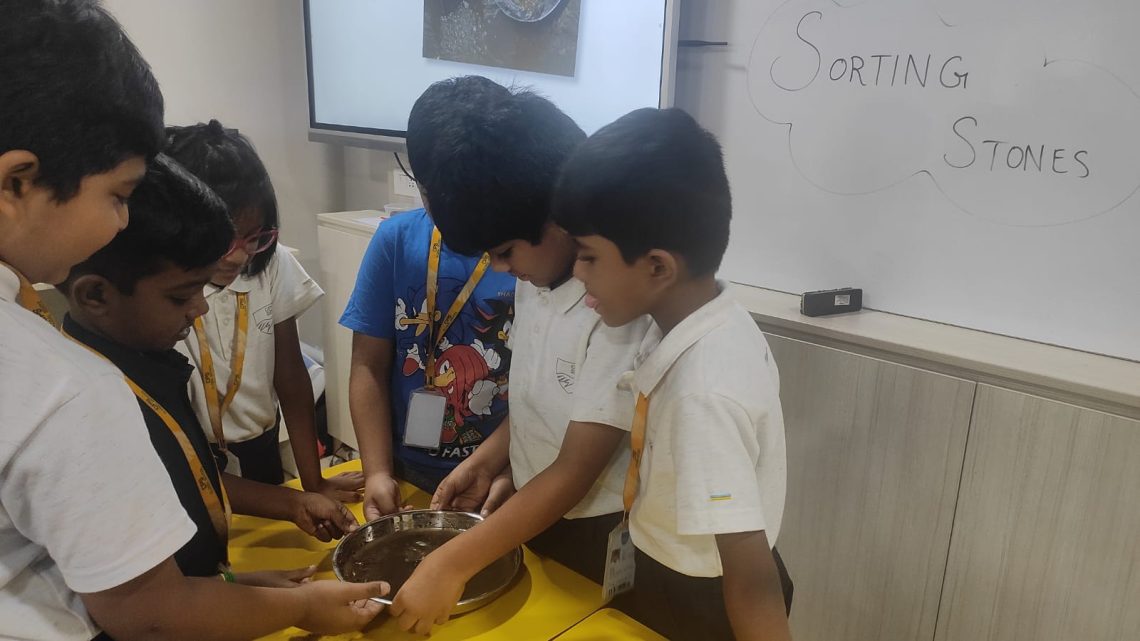 Float, Sink, and Swirl: Engaging Young Scientists with Water and Stones ...