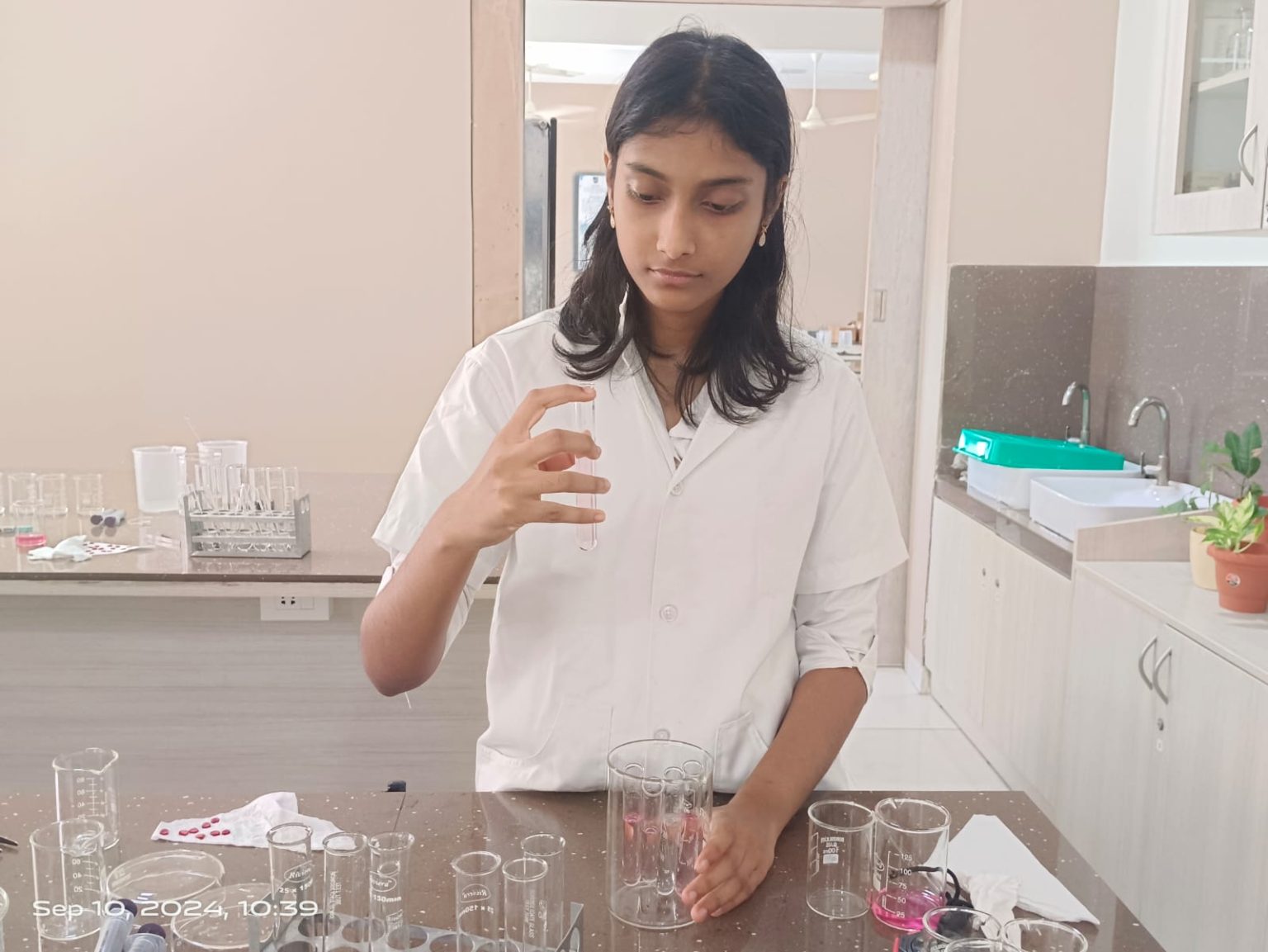 Effect of Ethanol Concentration on Membrane Permeability in Beta ...