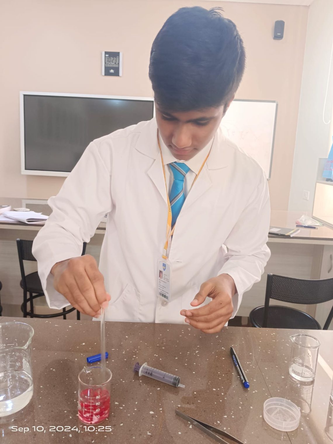 Effect of Ethanol Concentration on Membrane Permeability in Beta ...