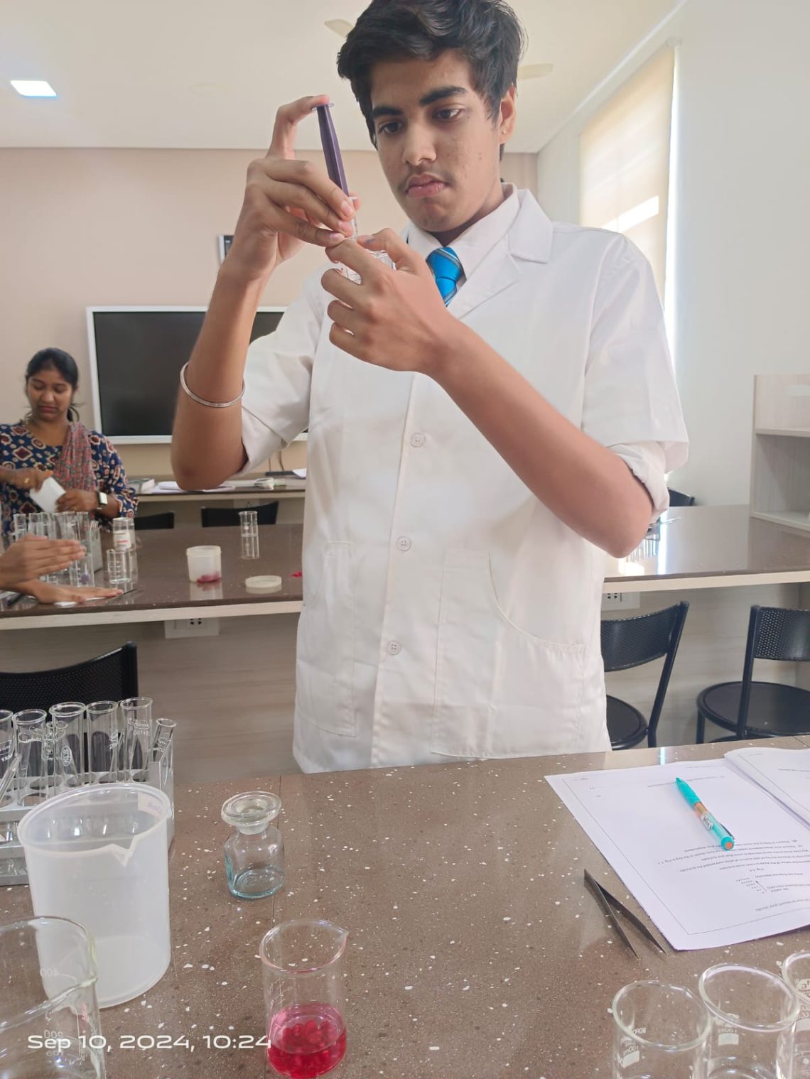 Effect of Ethanol Concentration on Membrane Permeability in Beta ...