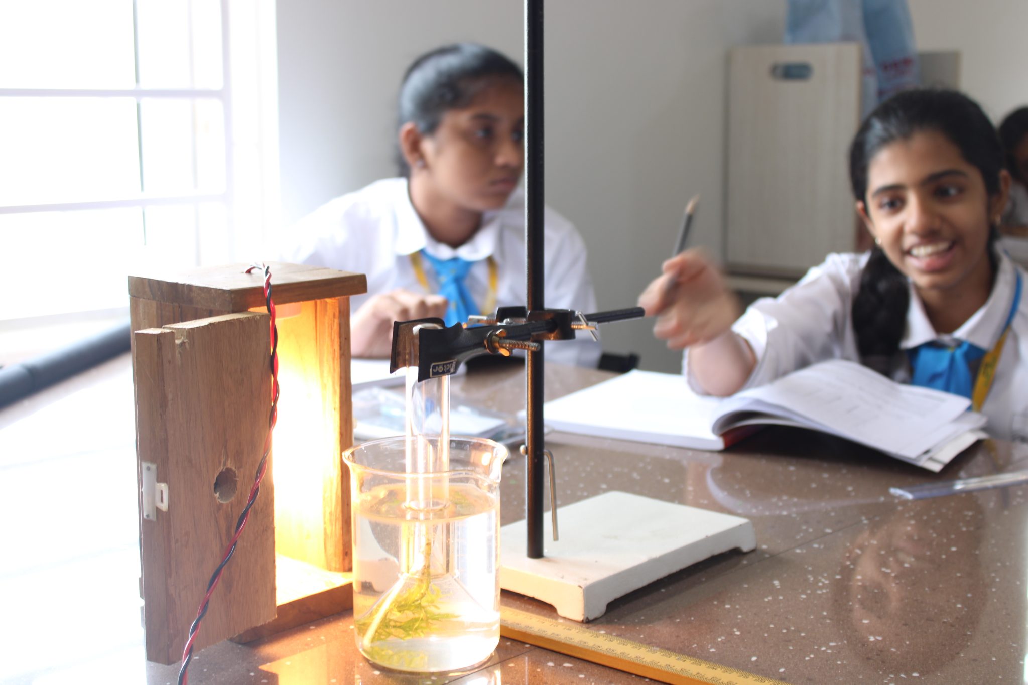 Measuring the Rate of photosynthesis in Underwater Plants @ CPS Global ...