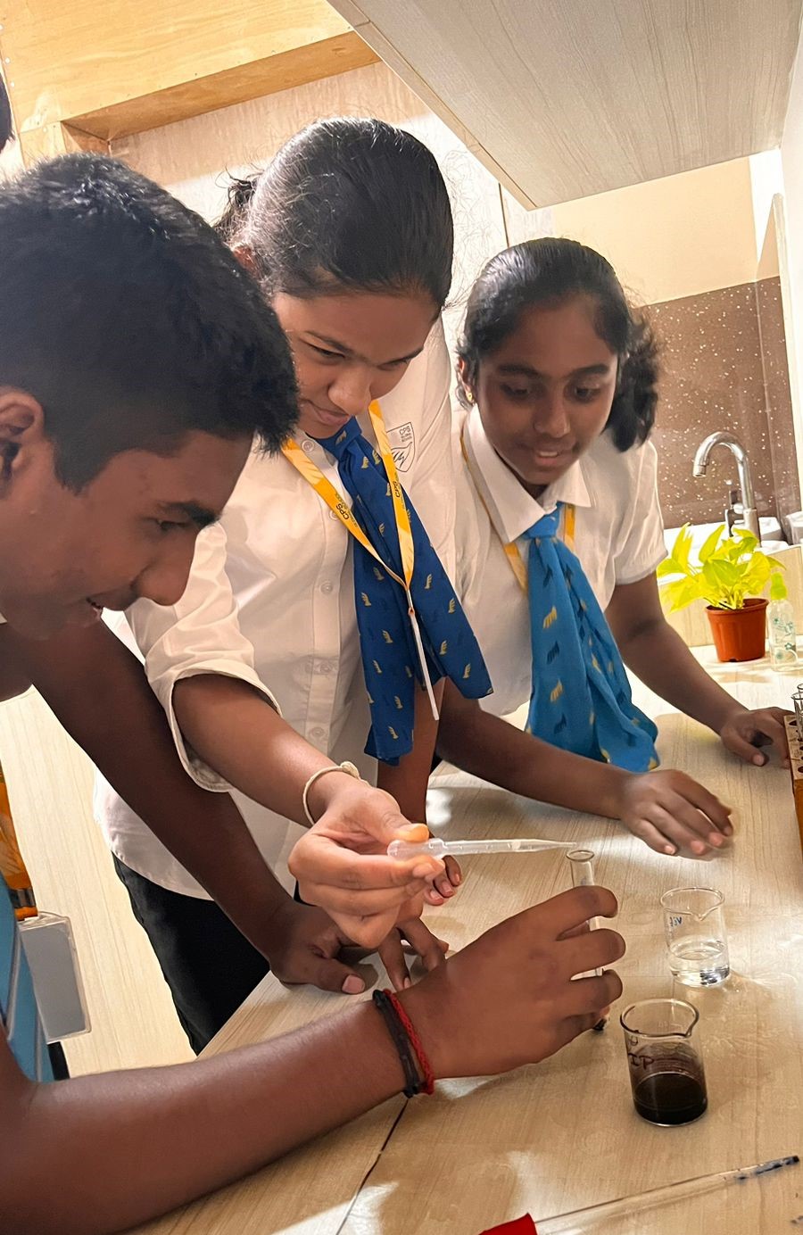 Measuring Vitamin C in Food @ CPS Global School, Anna Nagar - CPS Global